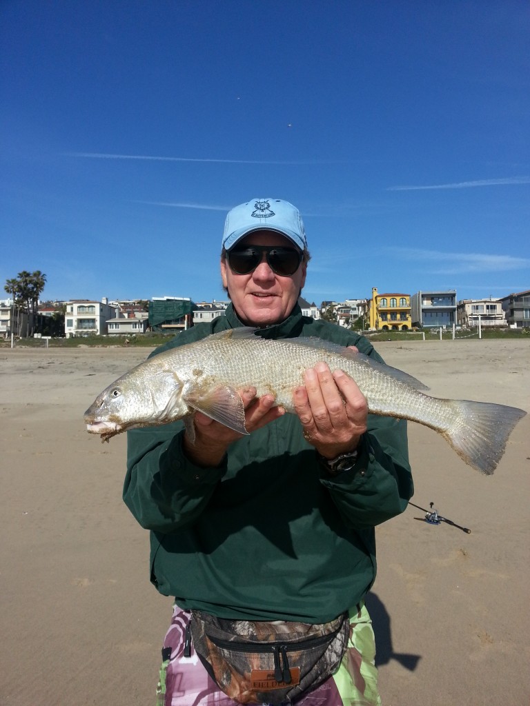 California Surf Fish | Fishthesurf.com - California Surf Fishing- A ...