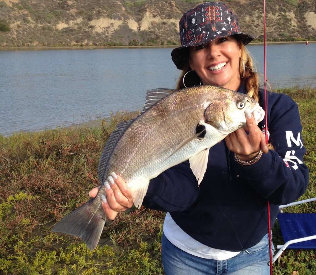 California Surf Fish | Fishthesurf.com - California Surf Fishing- A ...