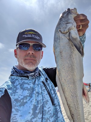 California Surf Fish | Fishthesurf.com - California Surf Fishing- A ...