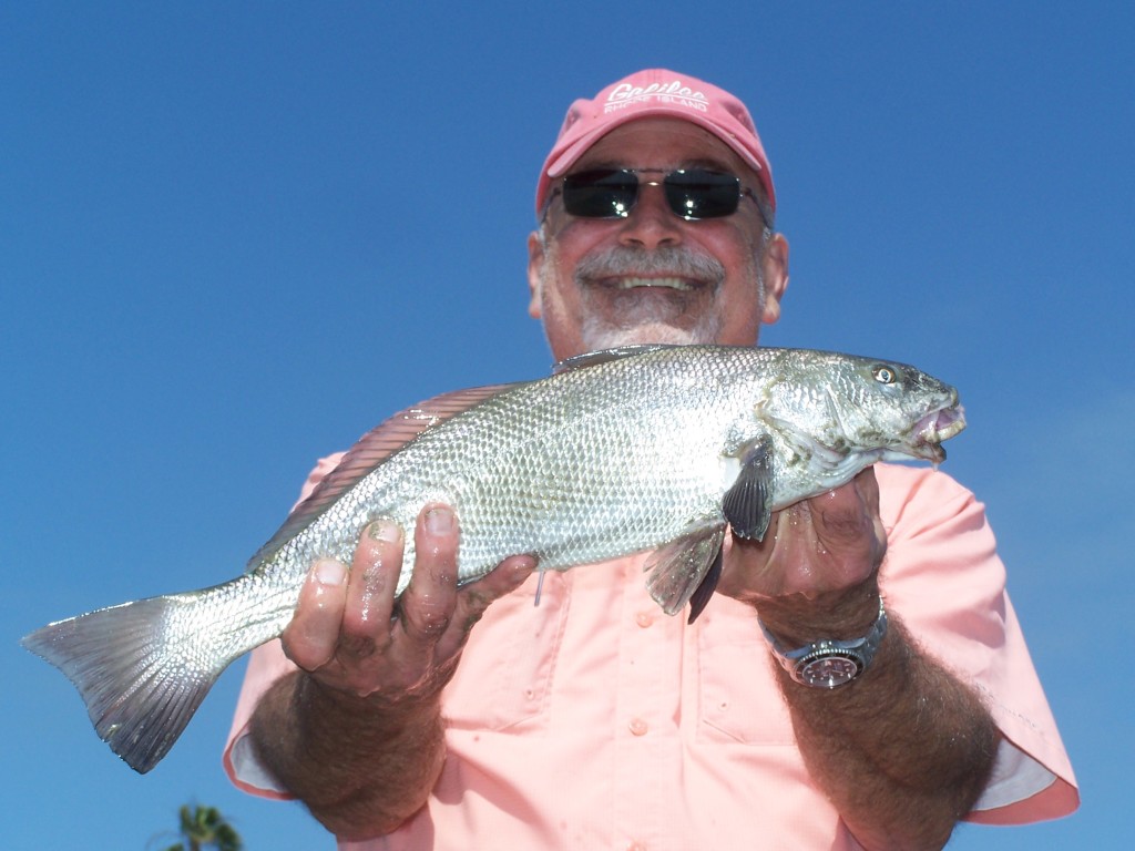 California Surf Fish | Fishthesurf.com - California Surf Fishing- A ...