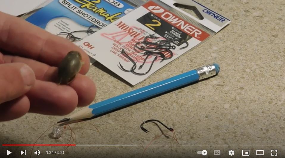 Bait Tips | Fishthesurf.com - California Surf Fishing- A Light Line ...